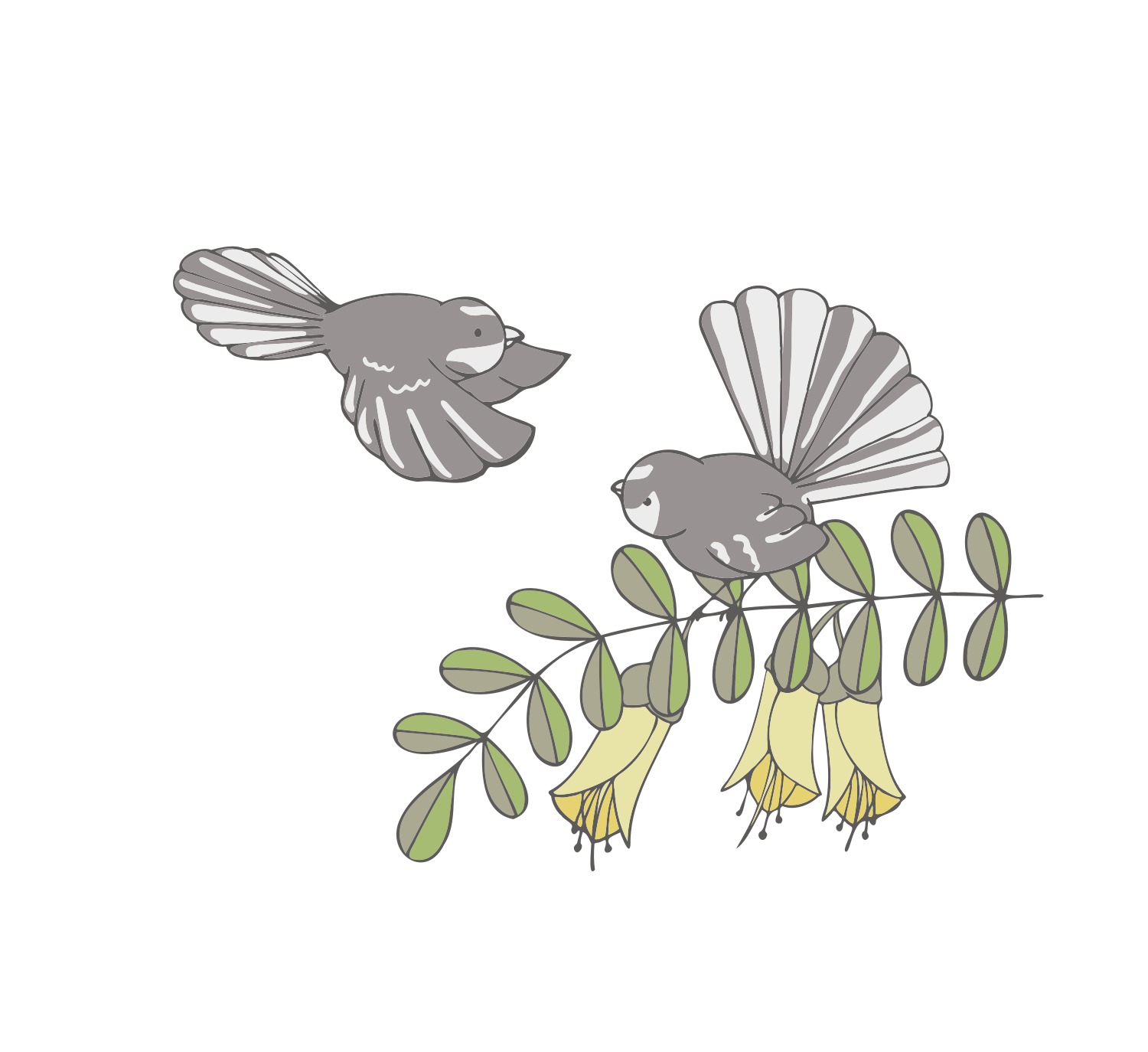 Creating a Bird-Friendly Oasis in Your New Zealand Garden – Babu